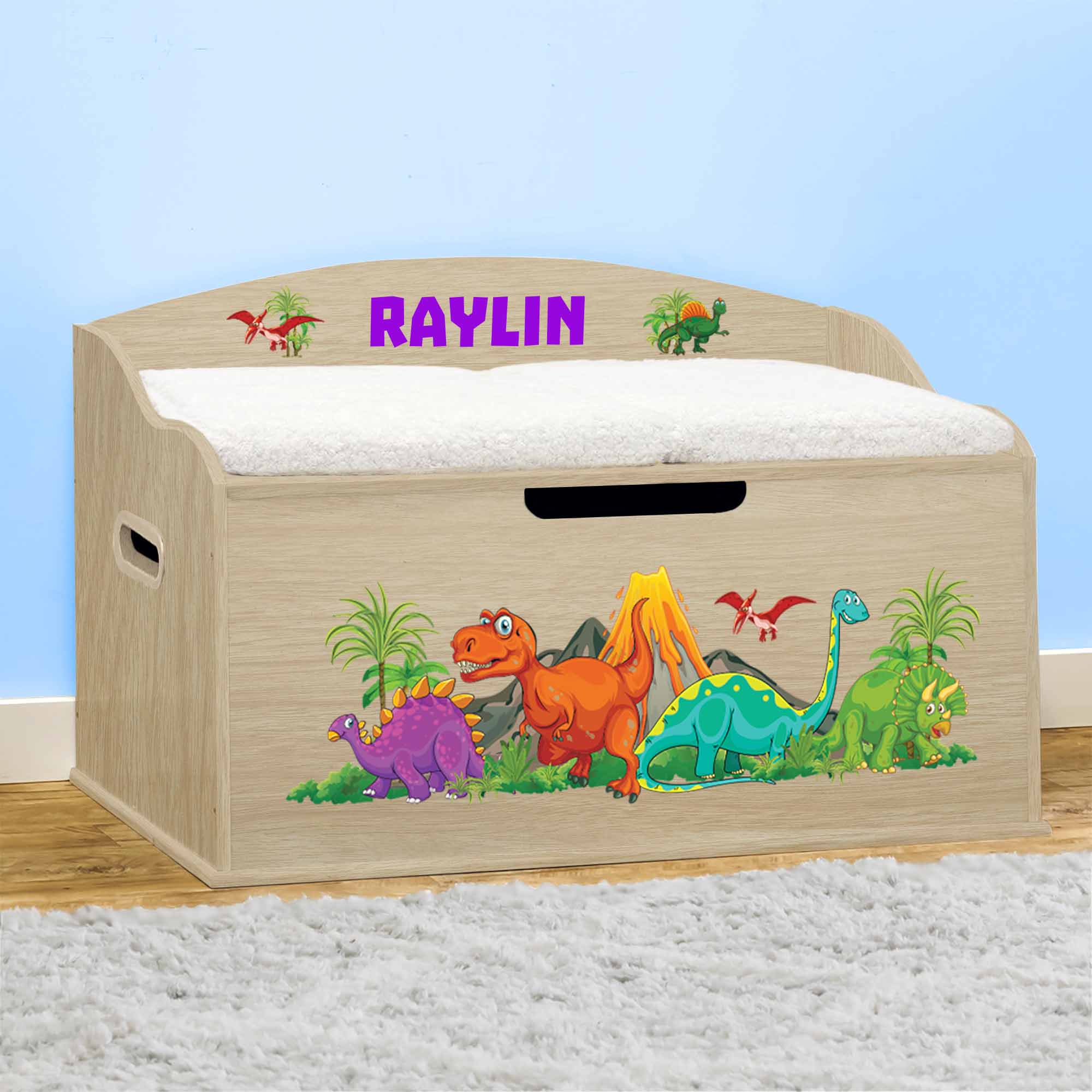 For Toddlers Personalized Toy Storage Box With Soft-Close Lid - Cars ...
